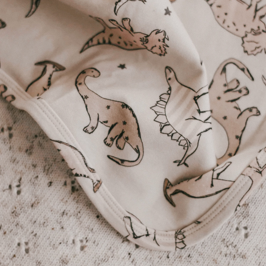 Retrosaurus Swaddle – Everlybee